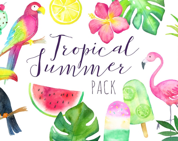 Tropical Clipart, Tropical Birds Clip Art, Tropical Summer, Flamingo ...