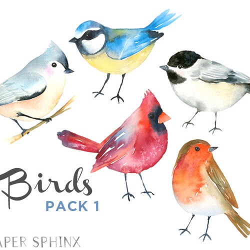 Watercolor Birds Clipart Winter Birds Set Woodland Animals - Etsy