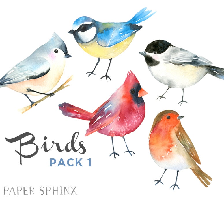 Watercolor Birds Clipart Winter Birds Clipart Woodland - Etsy Australia