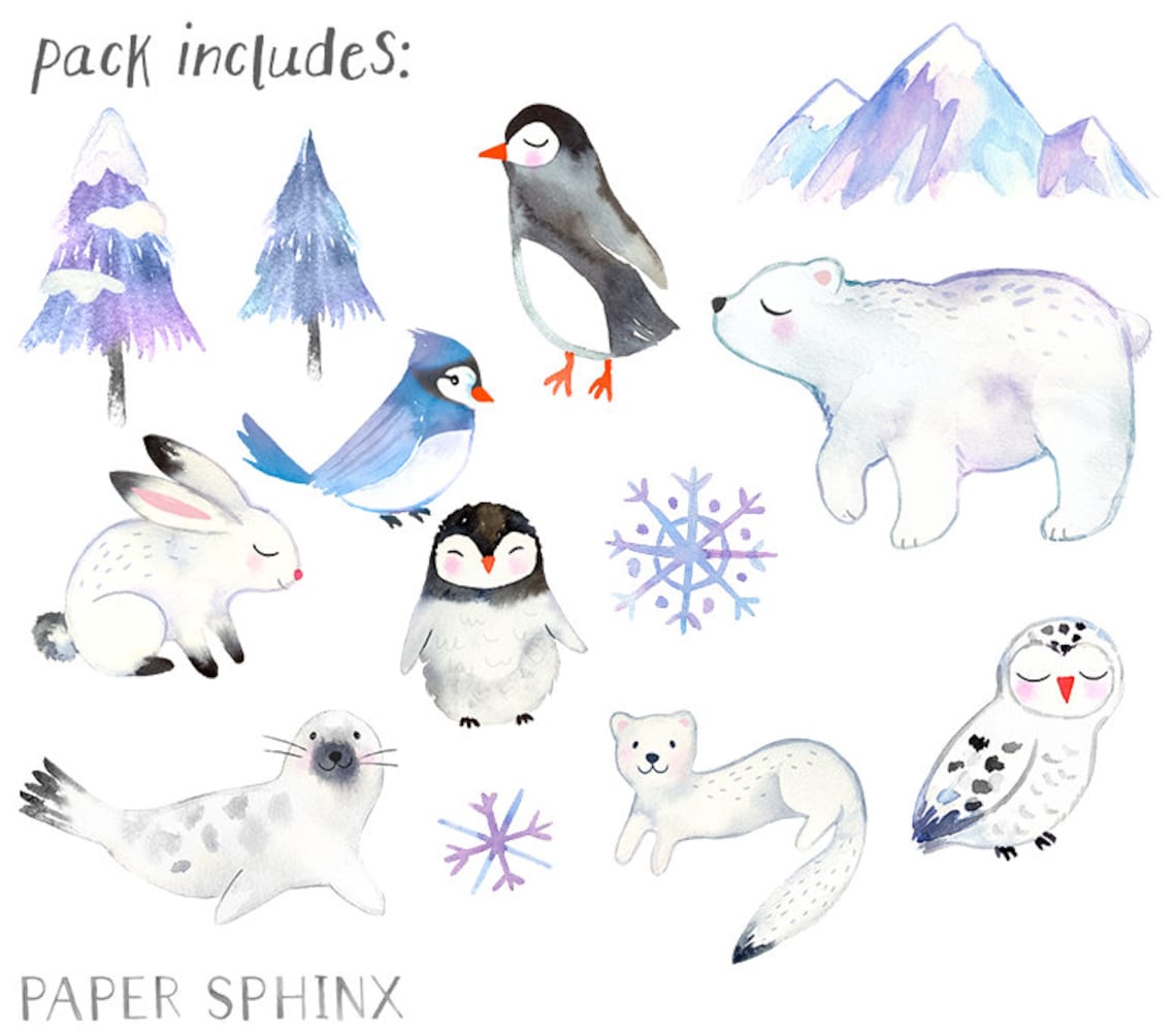 Watercolor Winter Animals Clipart Winter Watercolors Holiday - Etsy Canada
