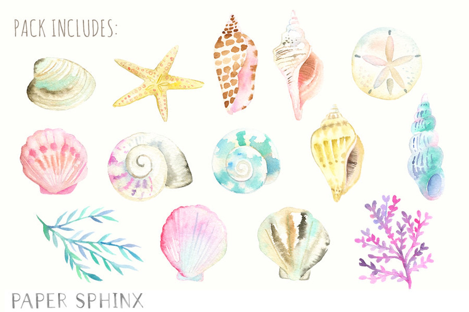 Watercolor Seashells Clipart - Nautical Watercolor Clip Art - Ocean ...
