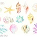 Watercolor Seashells Clipart - Nautical Watercolor Clip Art - Ocean ...