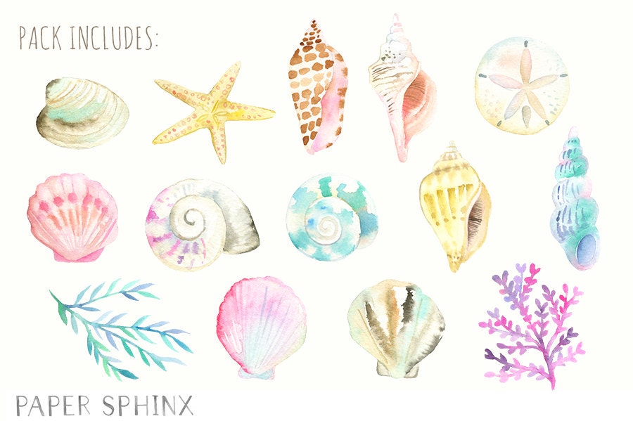 Watercolor Seashells Clipart Nautical Watercolor Clip Art - Etsy