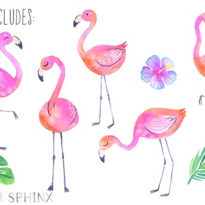 Watercolor Flamingos Clipart | Tropical Flamingos Summer Clipart ...