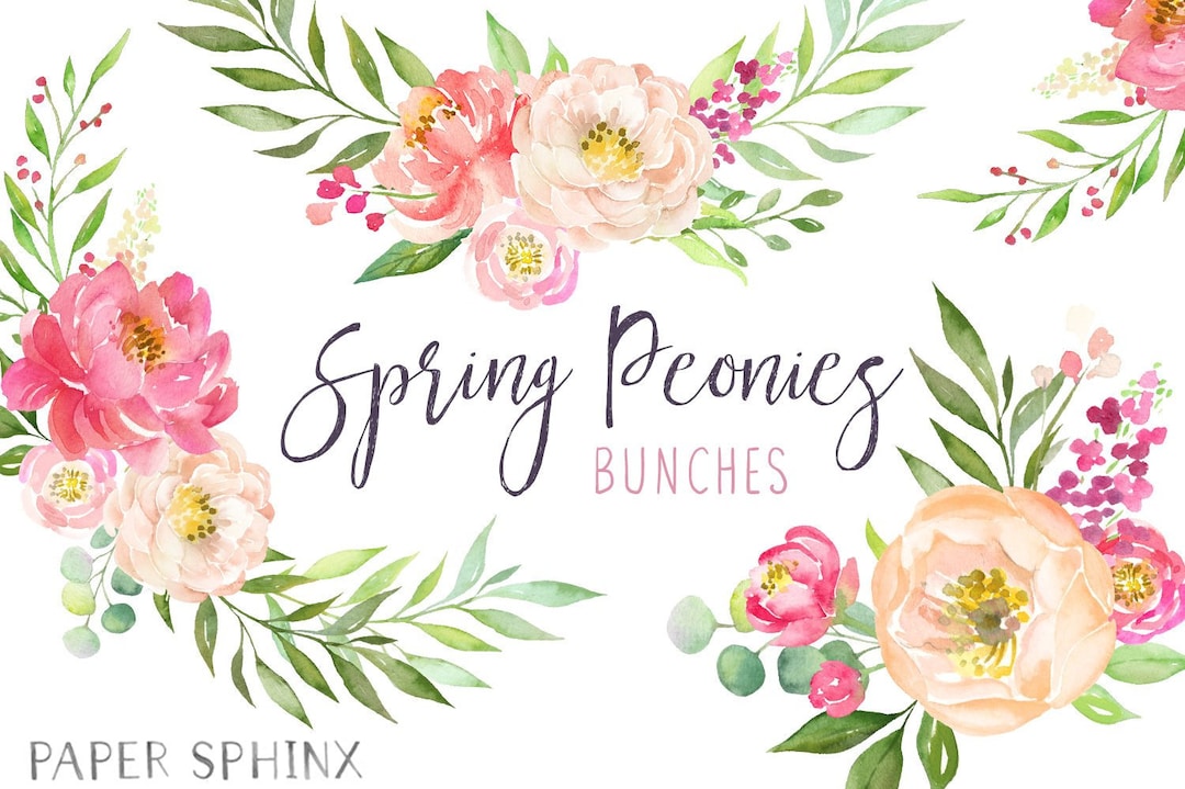 Watercolor Peonies Floral Layouts Peonies Clipart Spring Wedding Flower ...