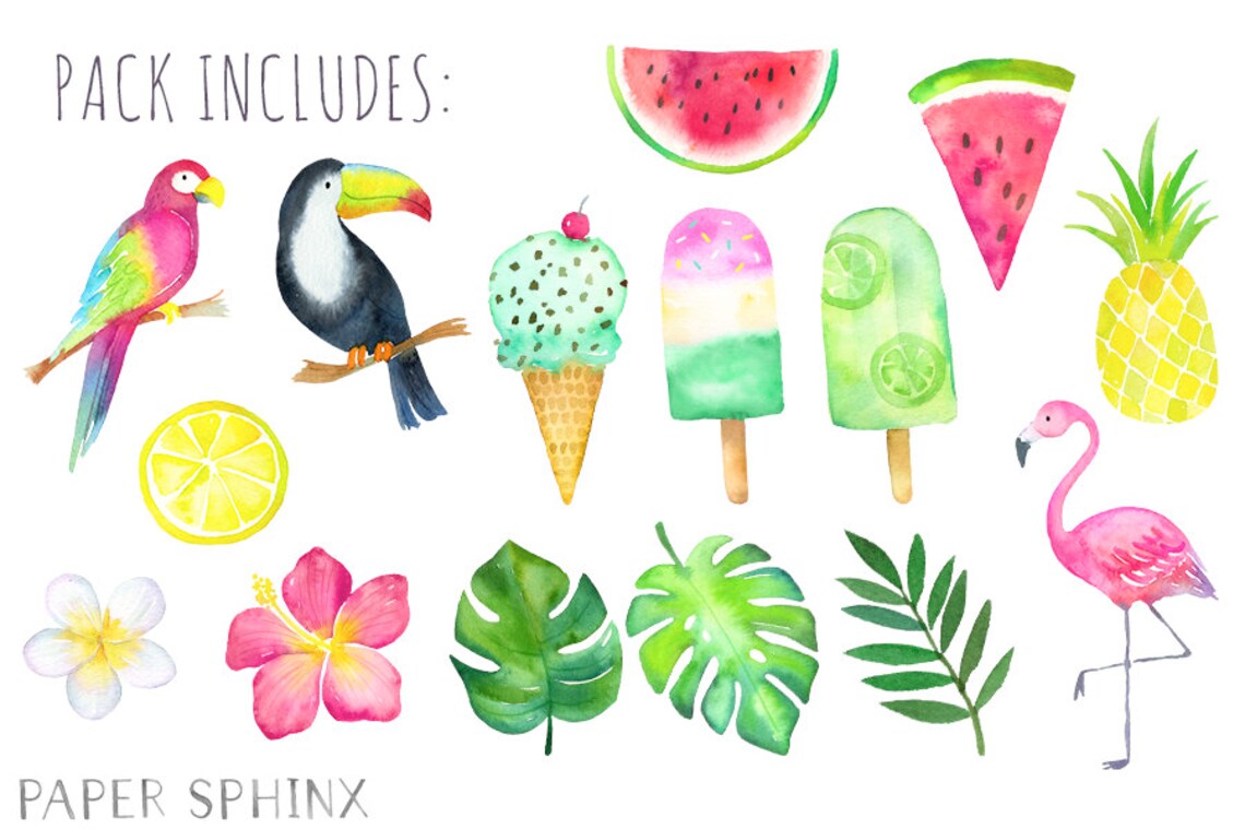 Watercolor Tropical Clipart Tropical Summer Toucan - Etsy