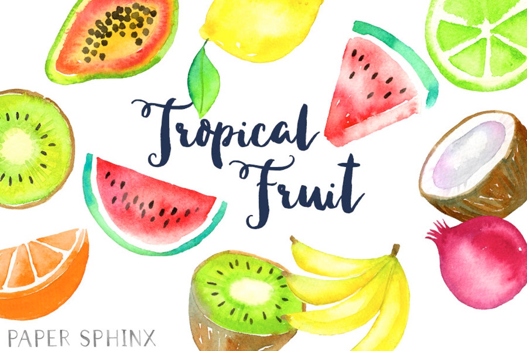 Watercolor Tropical Fruit Clipart | Fruit Clip Art - Pineapple, Bananas ...