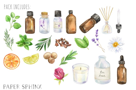 Lavender Essential Oils Clip Art