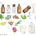 Essential Oils Clipart | Natural Oil Clipart - Diffuser, Oil Bottles ...