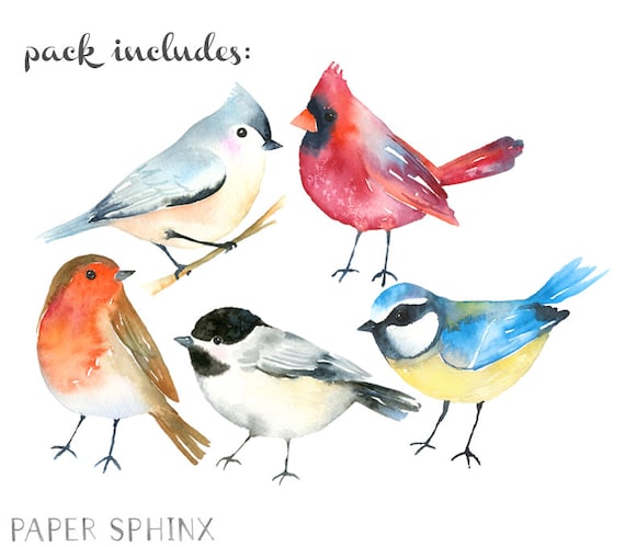 Winter Birds Clipart