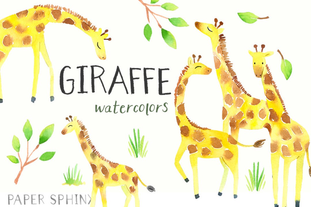 Watercolor Giraffes Clipart | Jungle Safari Animals - Scrapbooking ...