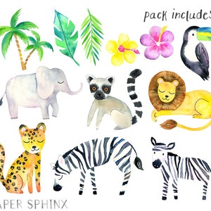Safari Animals Clipart | Watercolor Jungle Animals Clipart - Safari ...