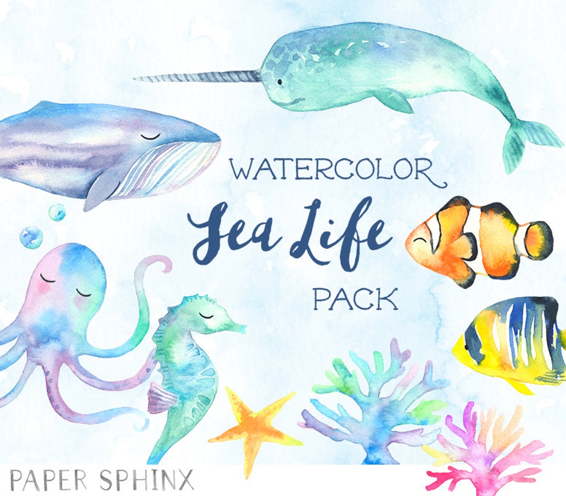 Watercolor Ocean Animals Clipart Fish Whale Nautical - Etsy