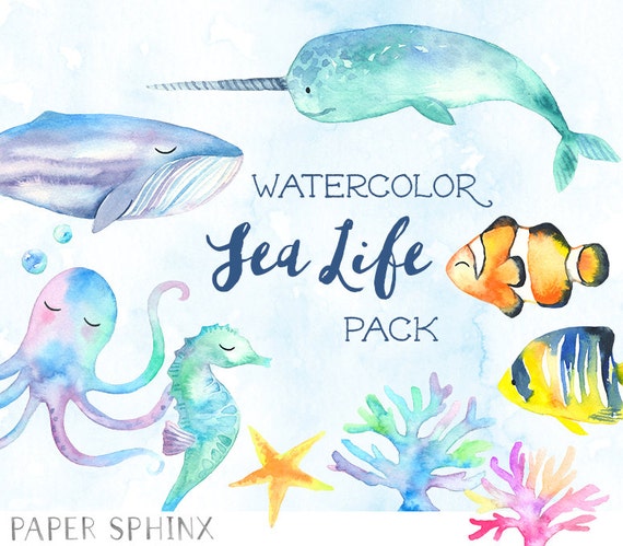 Watercolor Ocean Animals Clipart Fish Whale Nautical | Etsy UK