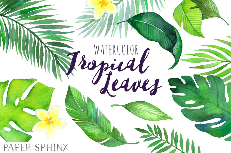 Watercolor Tropical Leaves Clipart Palm Leaves Clipart - Etsy