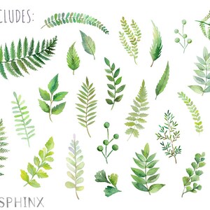 Watercolor Ferns Clipart | Forest Leaves Clipart - Greenery Leaf ...