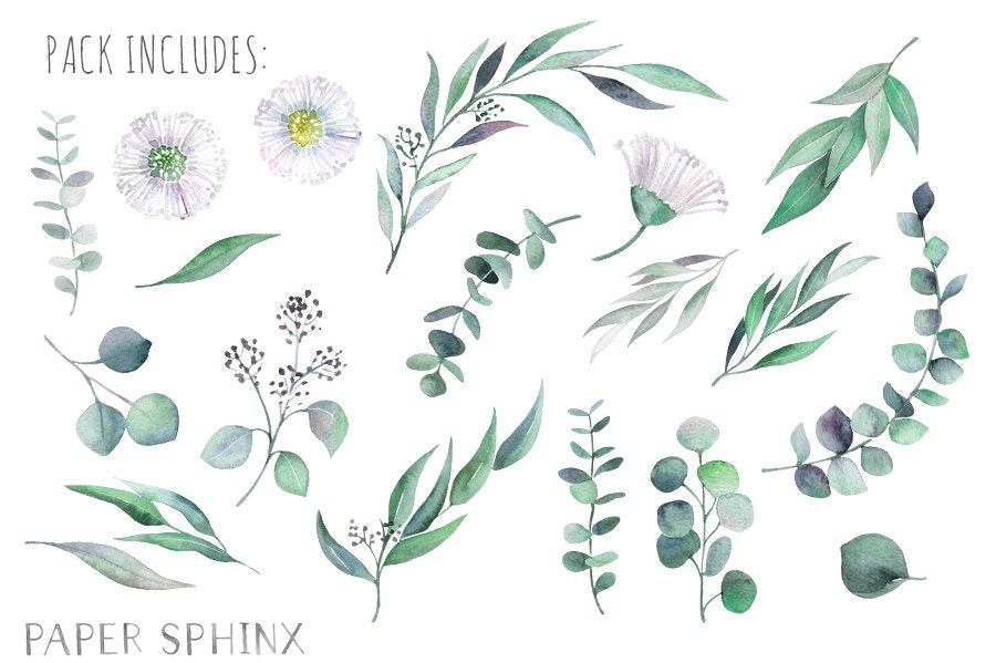 Watercolor Eucalyptus Clipart | Greenery Clipart - Flowers, Leaves ...