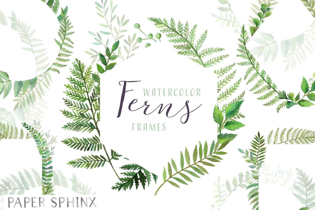 Watercolor Fern Frames Clipart | Greenery Leaves - Geometric Fern ...