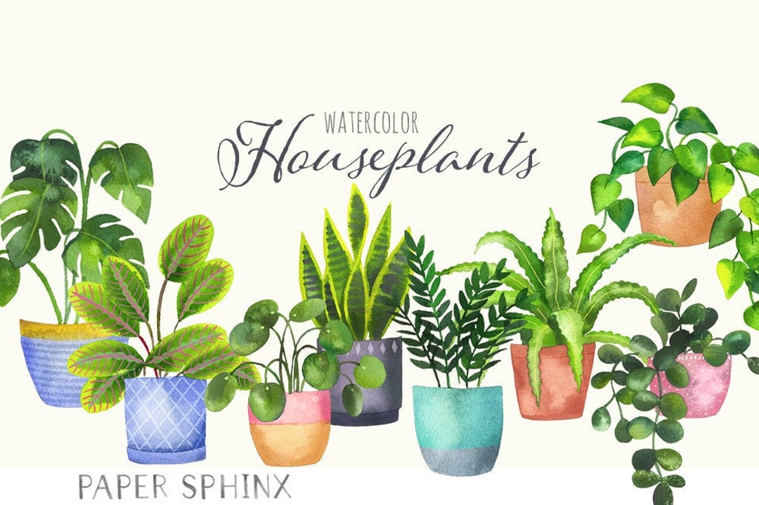 Watercolor House Plants Clipart | Plant Lady Graphics - Pothos, Snake ...