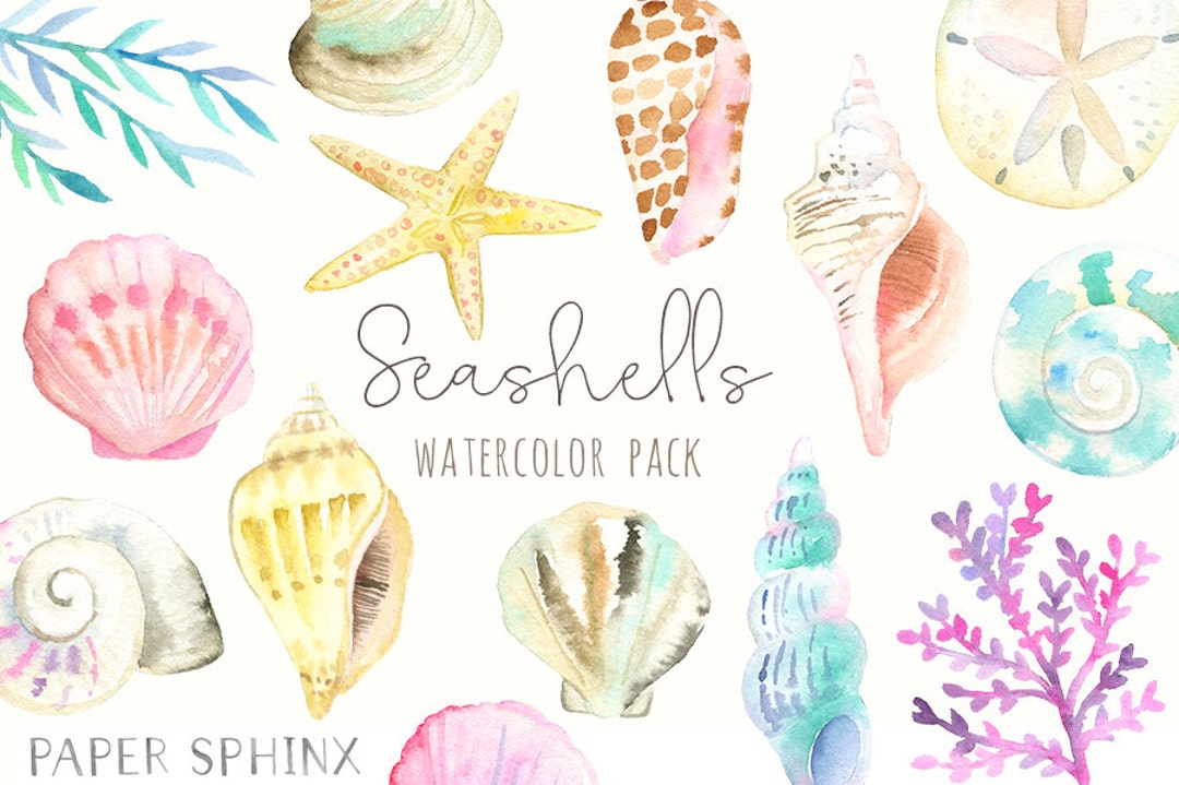 Watercolor Seashells Clipart - Nautical Watercolor Clip Art - Ocean ...