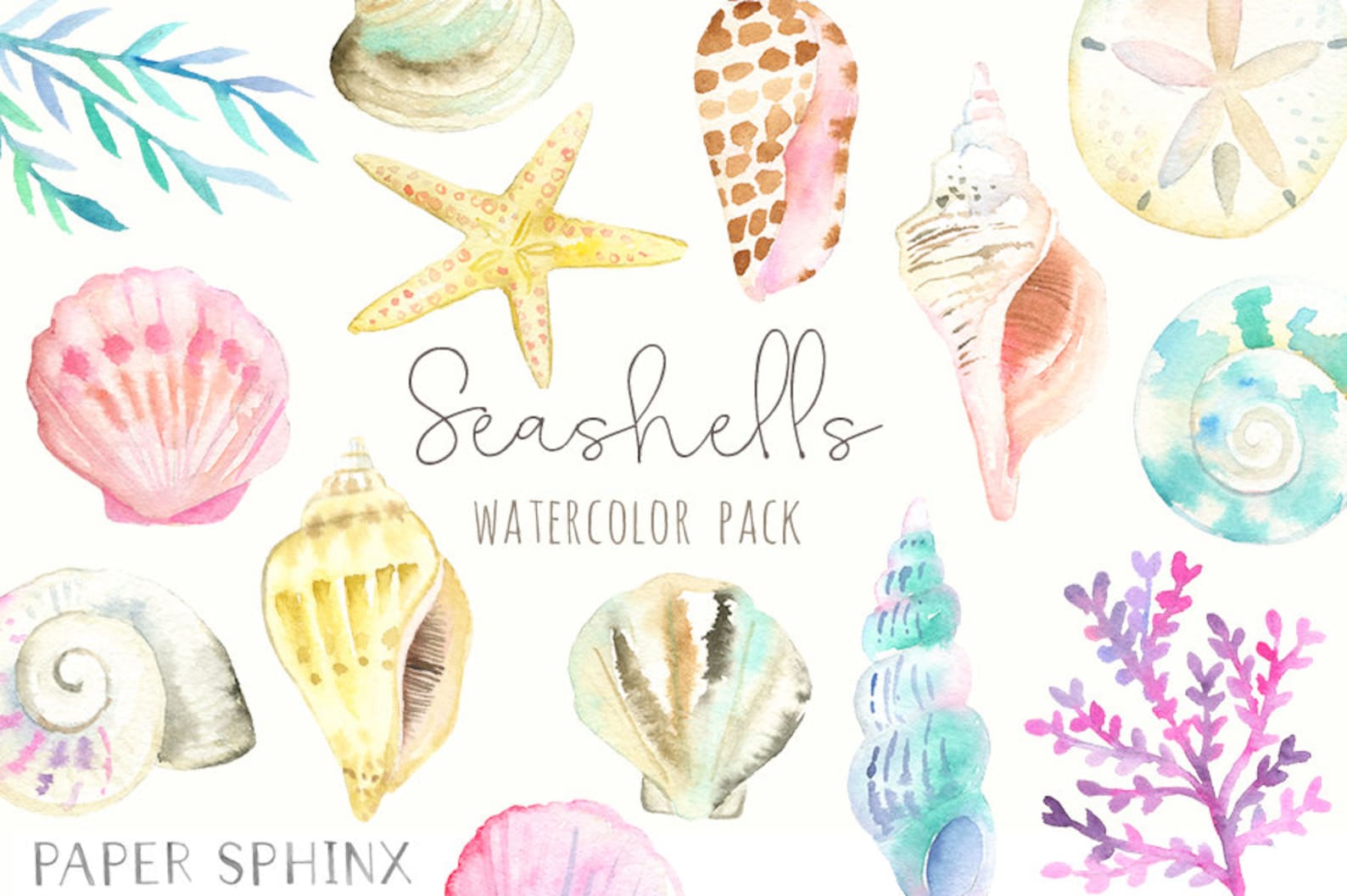 Watercolor Seashells Clipart Nautical Watercolor Clip Art - Etsy