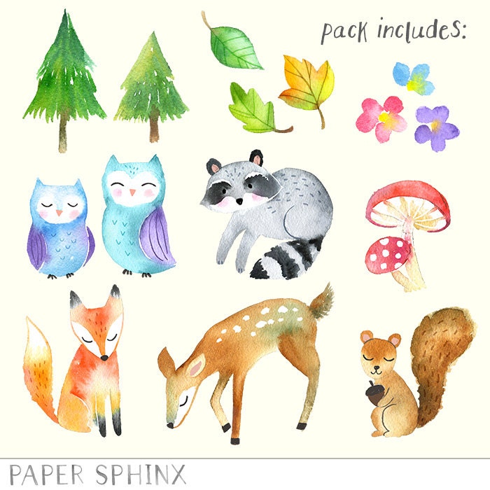 Watercolor Woodland Animals Clipart Forest Animals Clip Art - Etsy