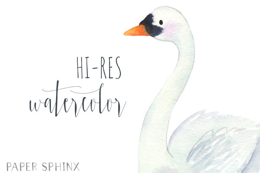 Craft Supplies & Tools Scrapbooking Paper, Party & Kids Swan Watercolor ...