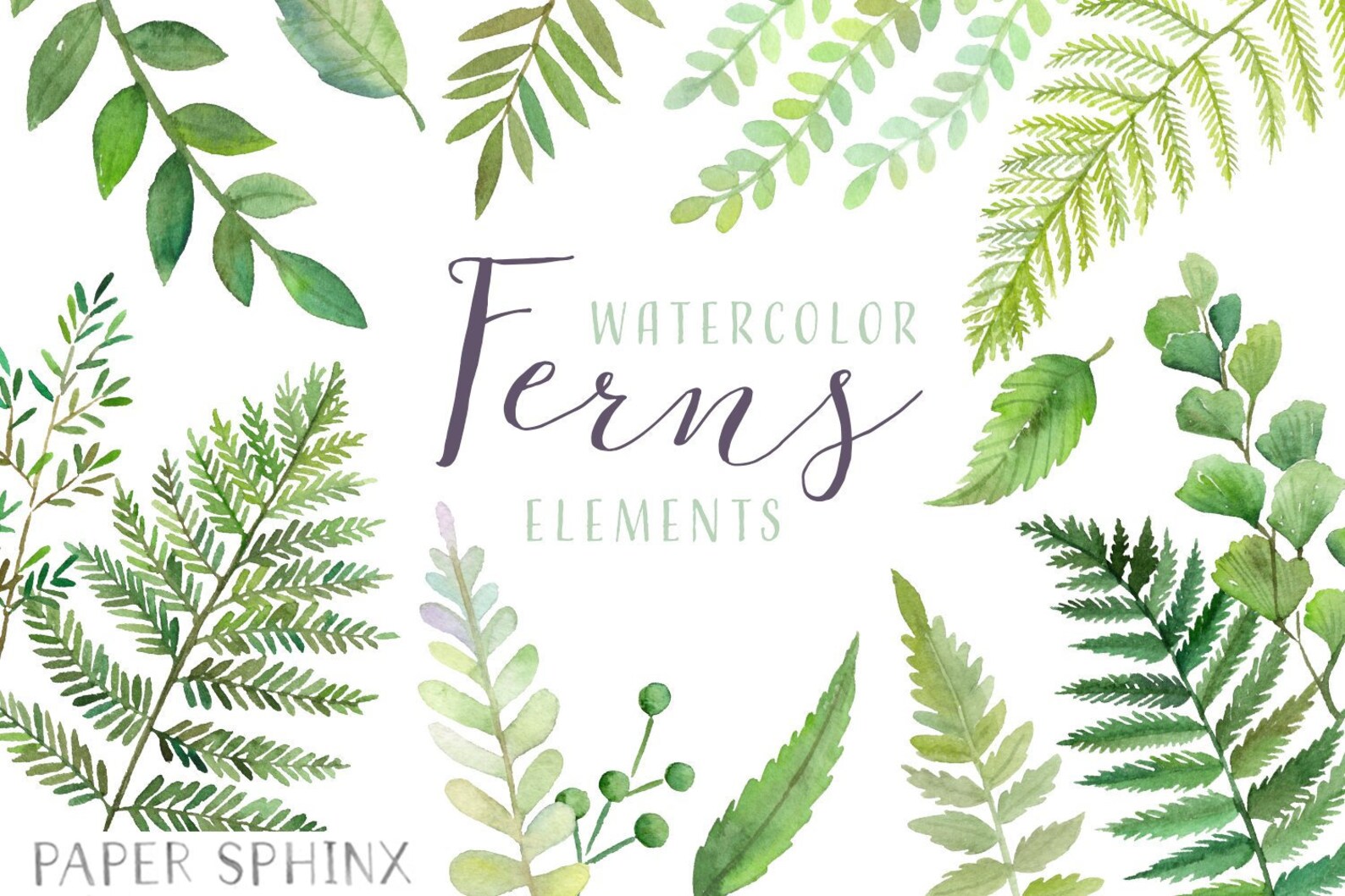 Watercolor Ferns Clipart | Forest Leaves Clipart - Greenery Leaf ...
