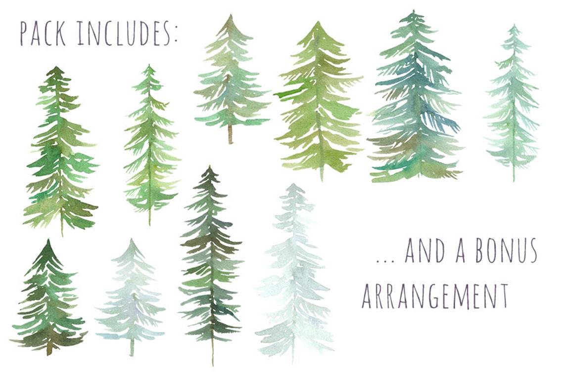 Watercolor Pine Trees Clipart | Christmas Clipart - Winter Conifers ...