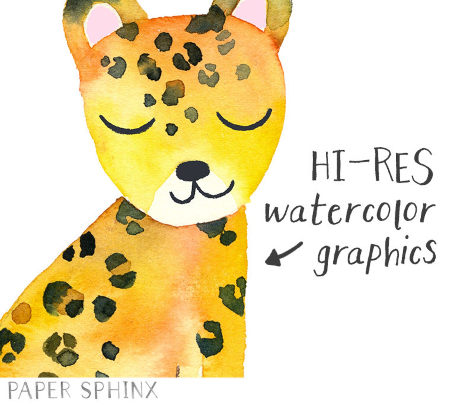 Safari Animals Clipart | Watercolor Jungle Animals Clipart - Safari ...