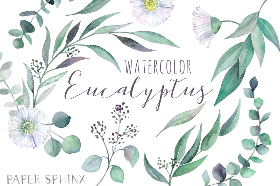 Watercolor Eucalyptus Clipart | Greenery Clipart - Flowers, Leaves ...