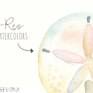 Watercolor Seashells Clipart - Nautical Watercolor Clip Art - Ocean ...