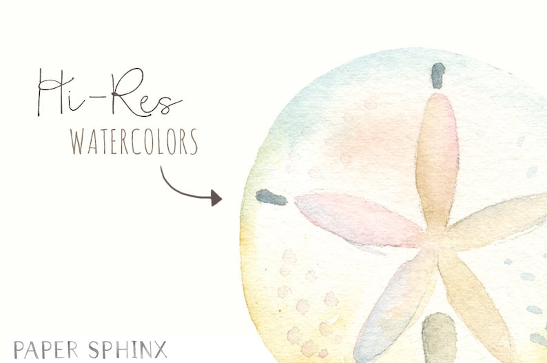 Watercolor Seashells Clipart - Nautical Watercolor Clip Art - Ocean ...