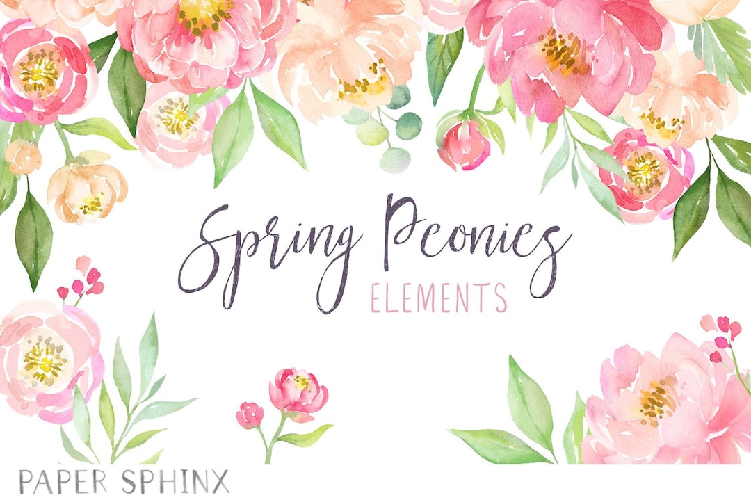 Watercolor Peonies Clipart | Spring Wedding Flowers - Coral and Blush ...