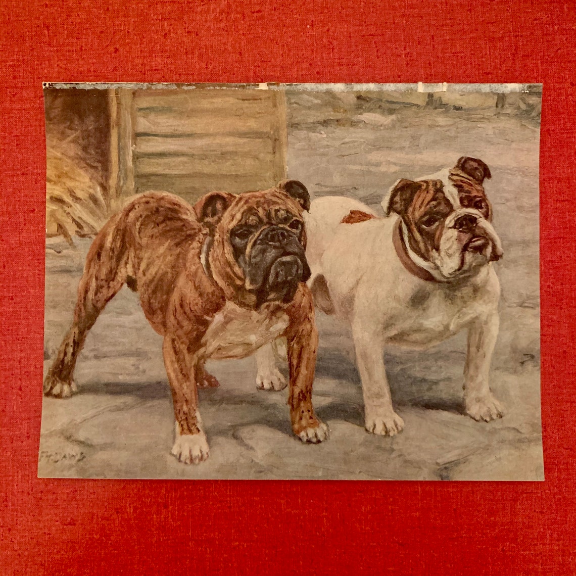 Vintage English Bulldog print vintage english bulldog art | Etsy