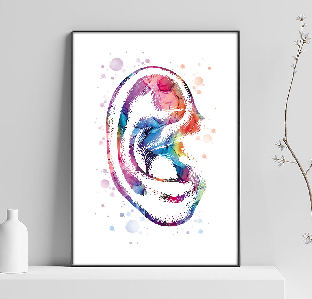 Ear Illustration, Doctor Gift, Medical Art, Ear Diagram, Anatomy ...