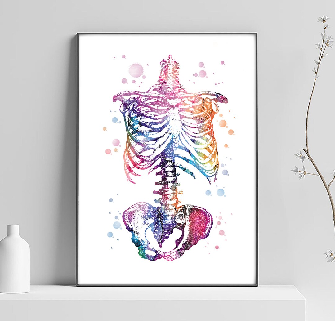Skeleton Poster, Medical Art, Doctor Gift, Hospital Decoration, Medical ...