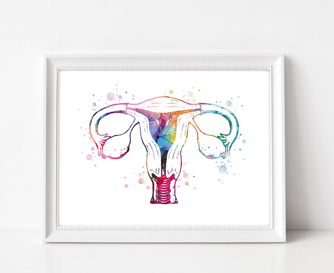 Uterus Poster, Medical Art, Doctor Decoration, Doctor Gift, Gynecology ...