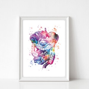 Digestive Tract Poster Intestines Medical Art Anatomy - Etsy UK