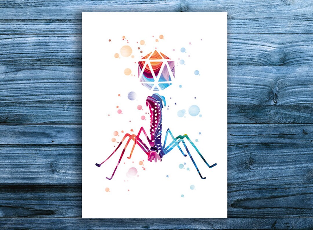 Bacteriophage Poster Drawing, Biology Art Diagram, Science, Researcher ...