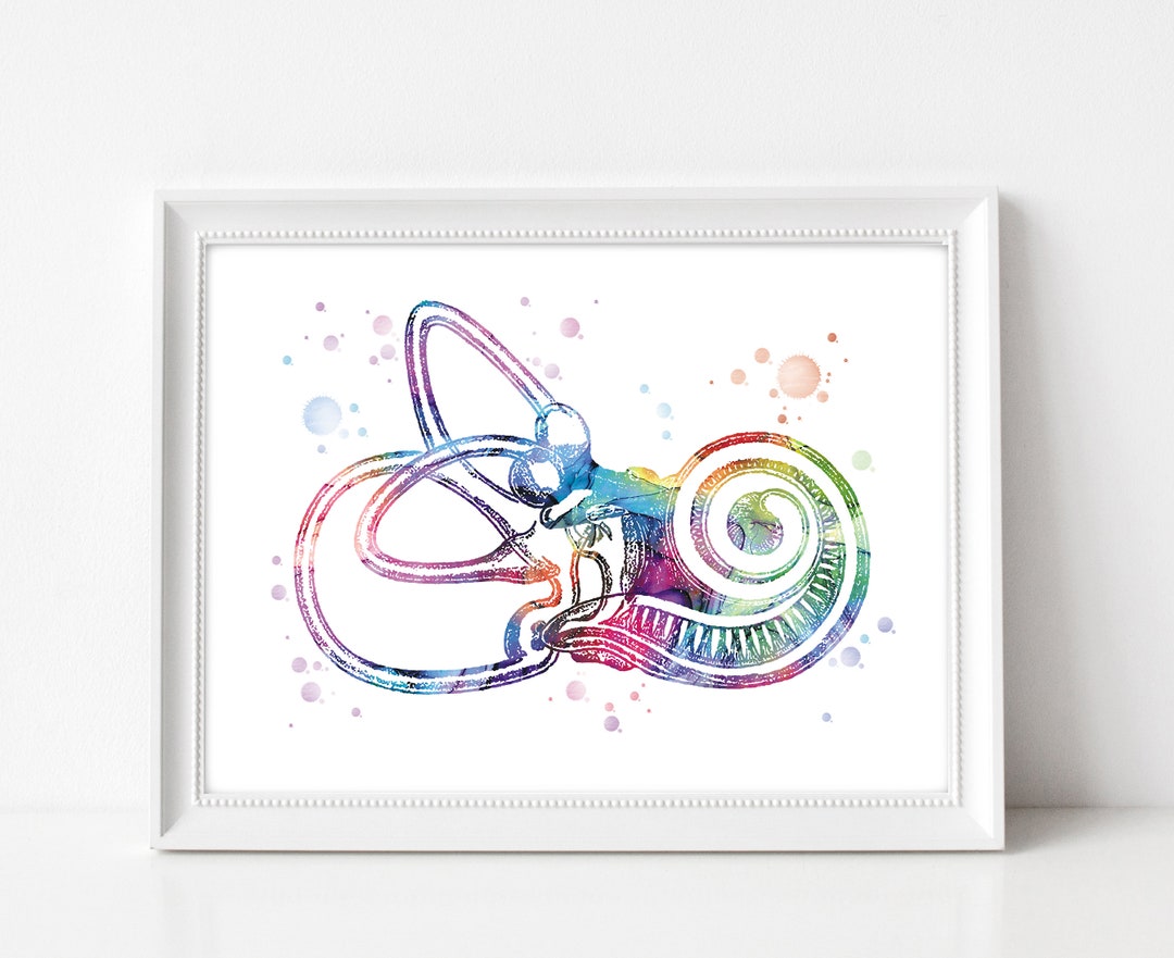Ear, Doctor Gift, Medical, Ear Diagram, Auditory Canal, Cochlea Drawing ...