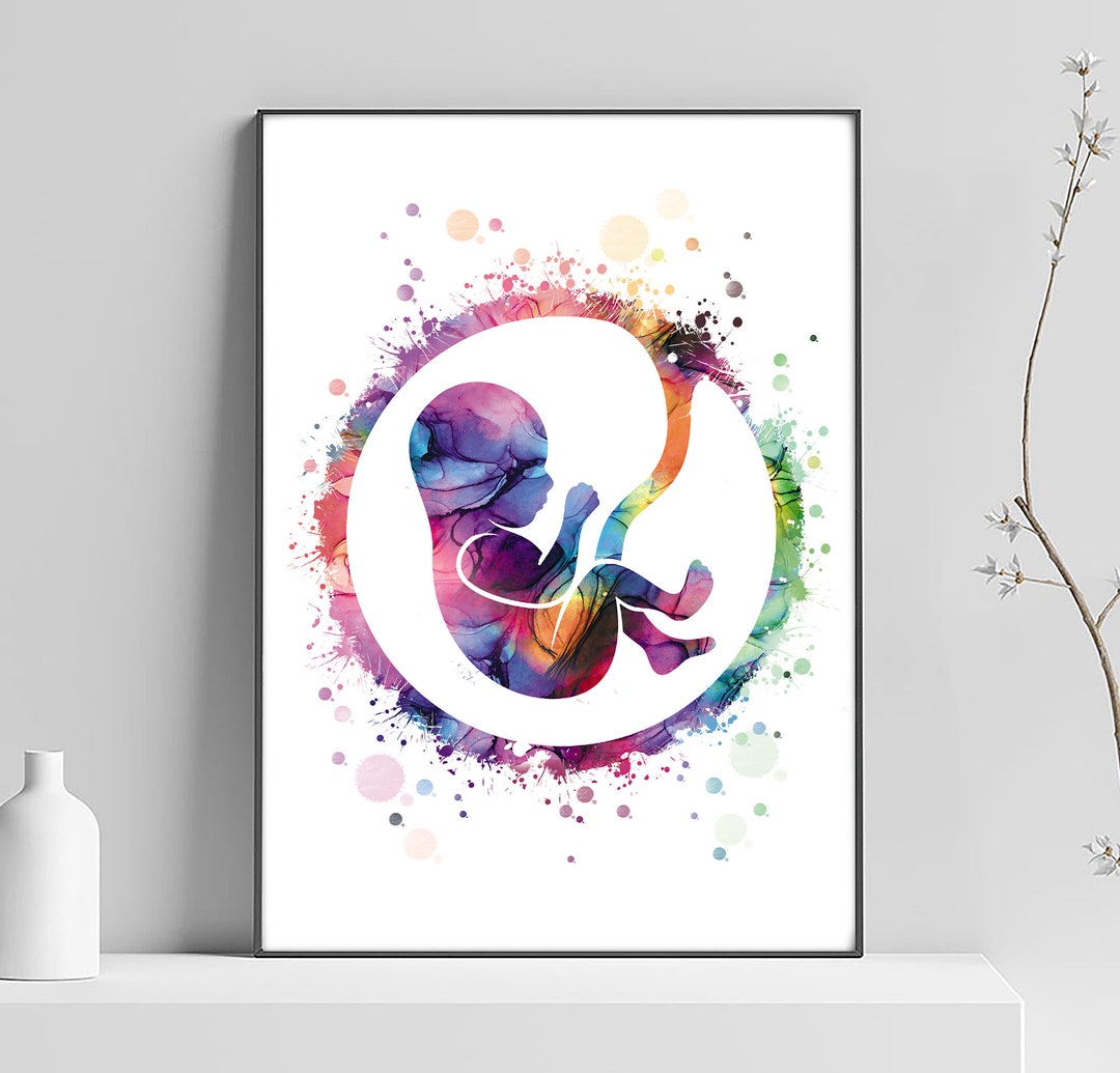 Fetus Poster, Medical Poster, Gift Gynecologist, Baby Poster, Clinic ...