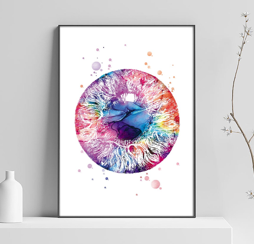 Iris Illustration, A4 Format 21x29.7 Cm, Ophthalmology, Medical Art ...