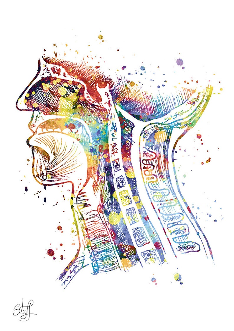 Larynx art ORL cabinet médical trachée déco - Etsy France