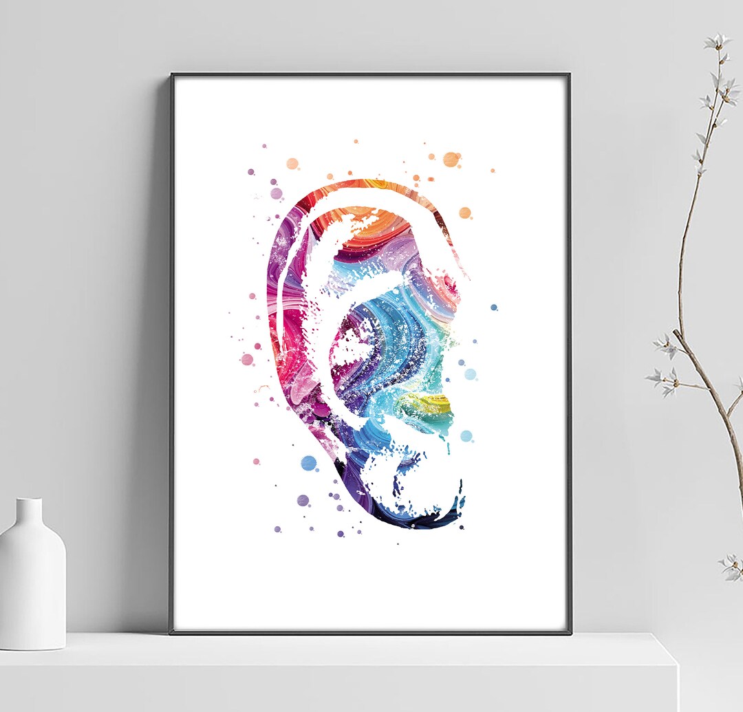 Ear Illustration, A4 Format 21x29.7 Cm, Doctor Gift, Medical Art, Ear ...