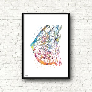 Breast Poster, Medical Art, Doctor Decoration, Doctor Gift, Mammography ...