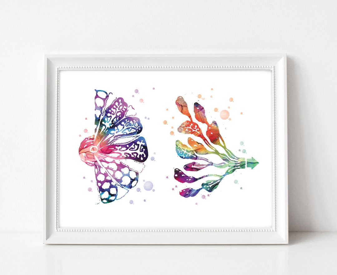 Breast Diagram Cut Poster, Medical Art, Doctor Decoration, Doctor Gift ...