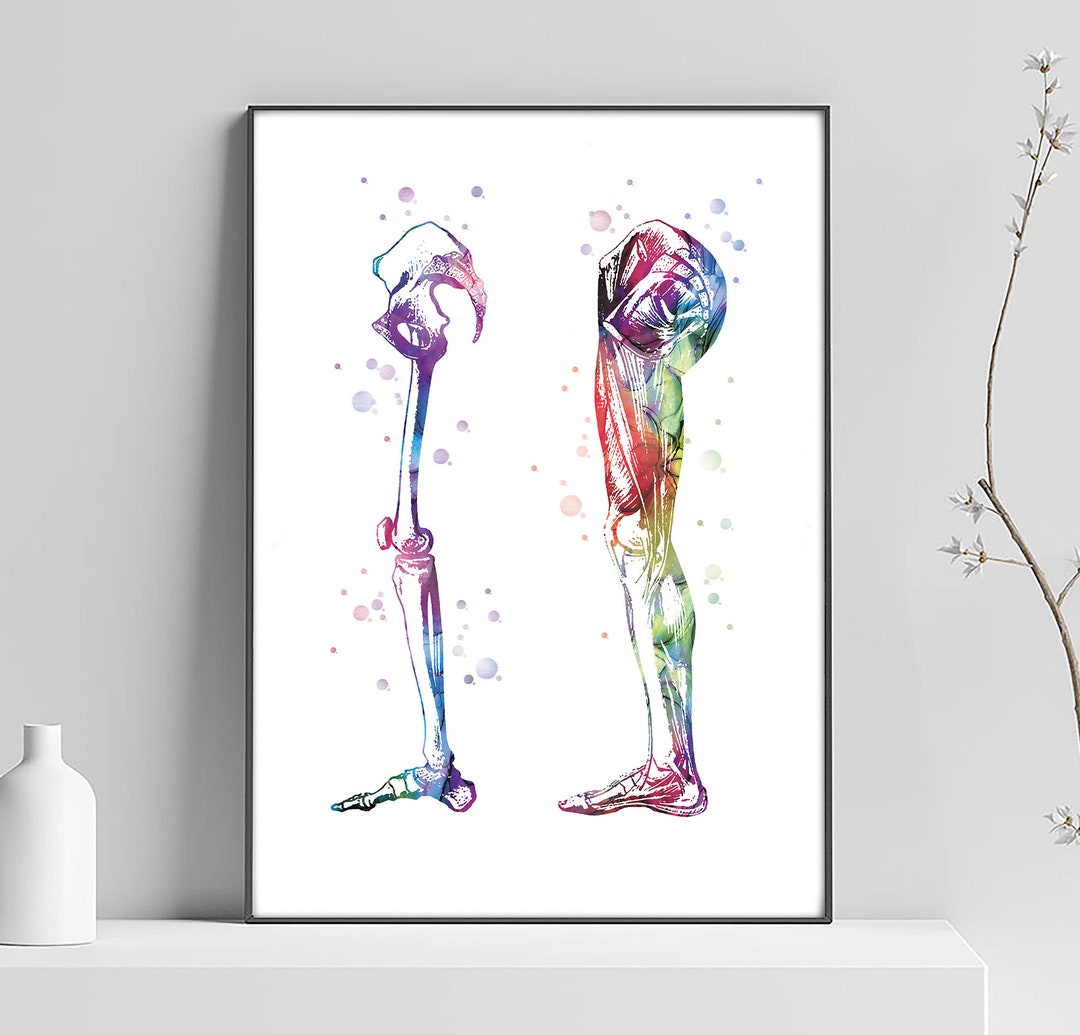 Legs Poster, Anatomy, Skeleton Muscles, Human Body, Doctor Gift ...