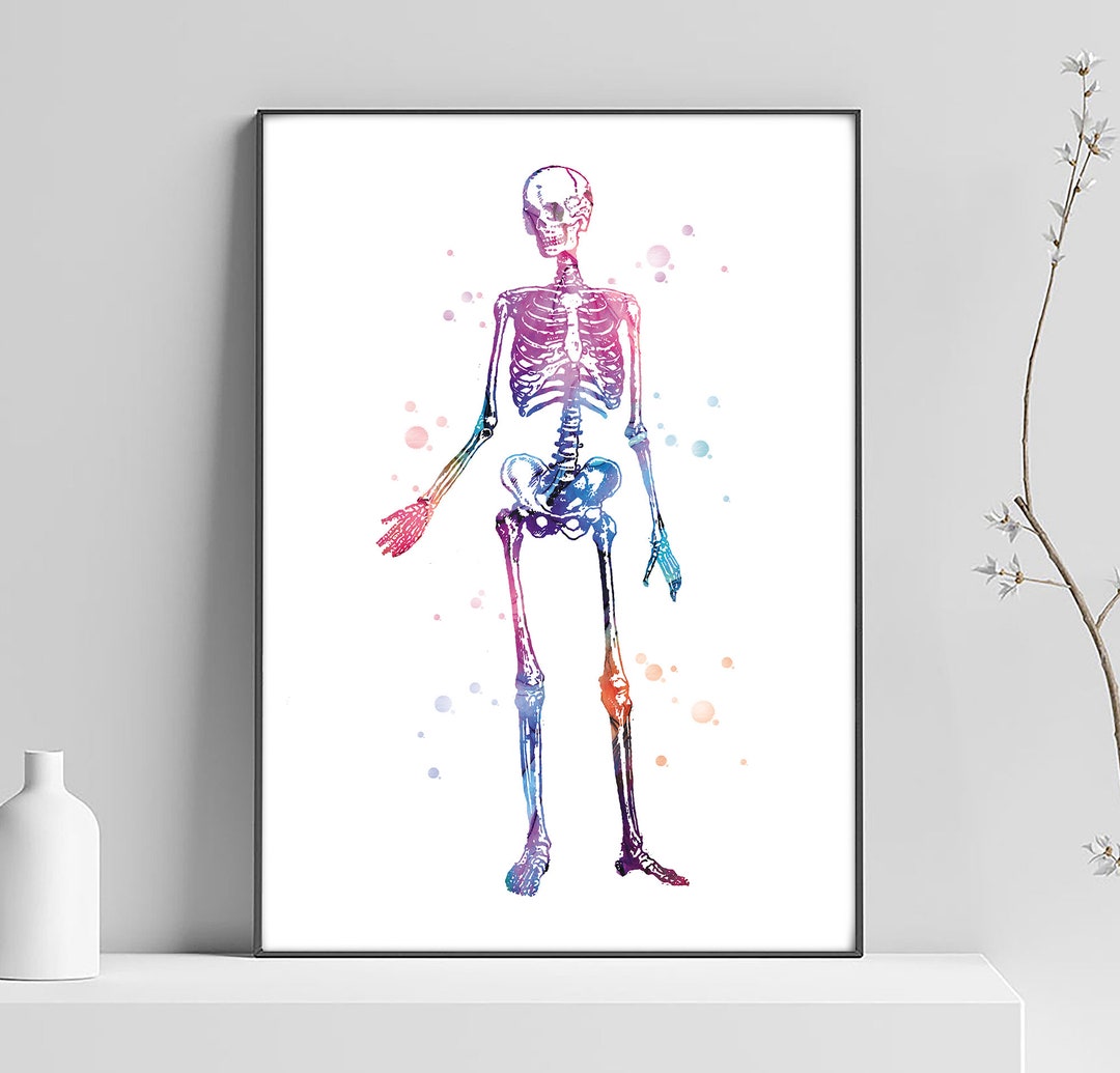 Human Body, Anatomy, Skeleton, Waiting Room Decoration, Anatomy ...