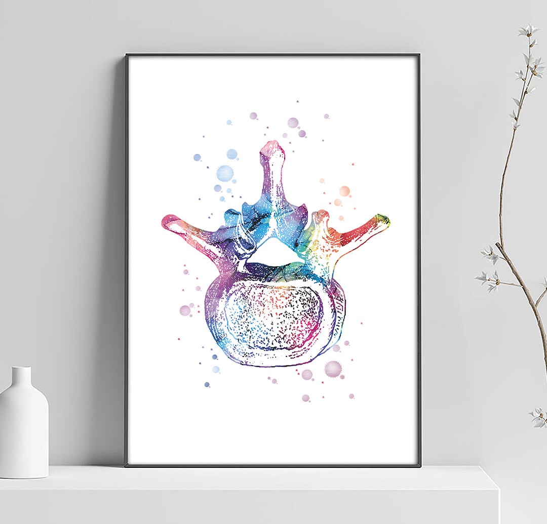 Vertebrae Cut Poster, Spine, Clinical Physiotherapist, Doctor ...